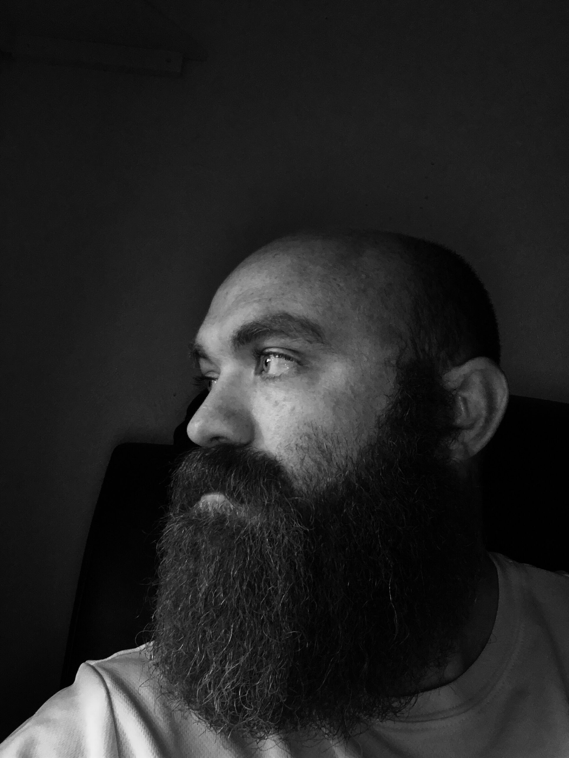 Beard Growth Oil | Stimulate Follicles for Fuller Beard – Crafted Beards